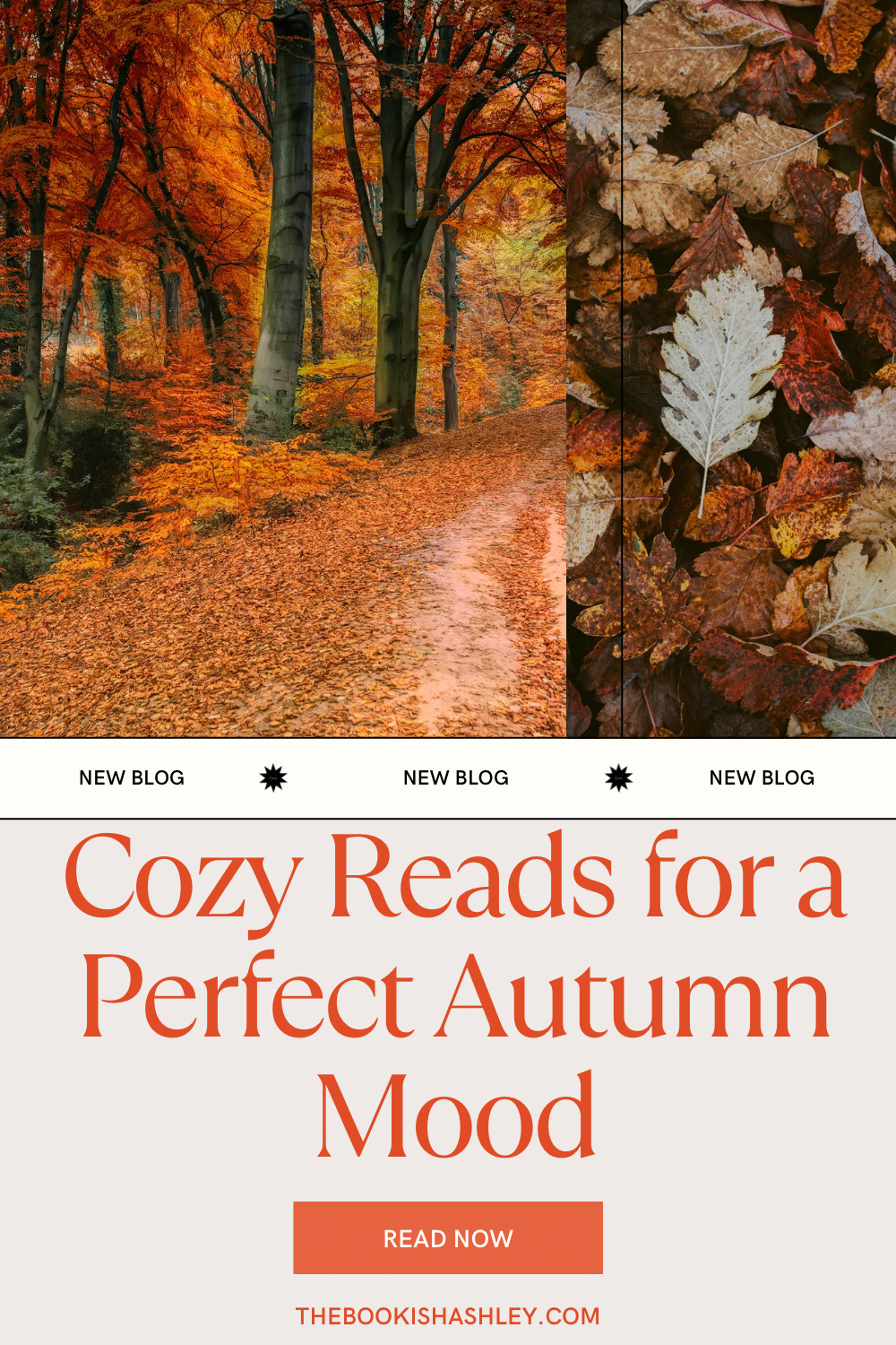 Cozy Reads for a Perfect Autumn Mood – The Bookish Ashley
